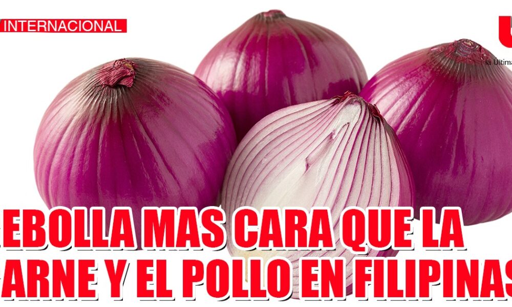 La cebolla se convierte en un producto de lujo en Filipinas – Periódico ...